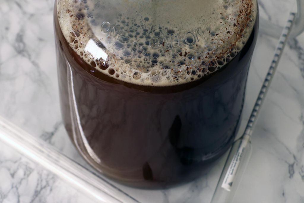 Bootleg Botanicals™ Root Beer Hard Soda Brewing Kit - Bootleg Botanicals™